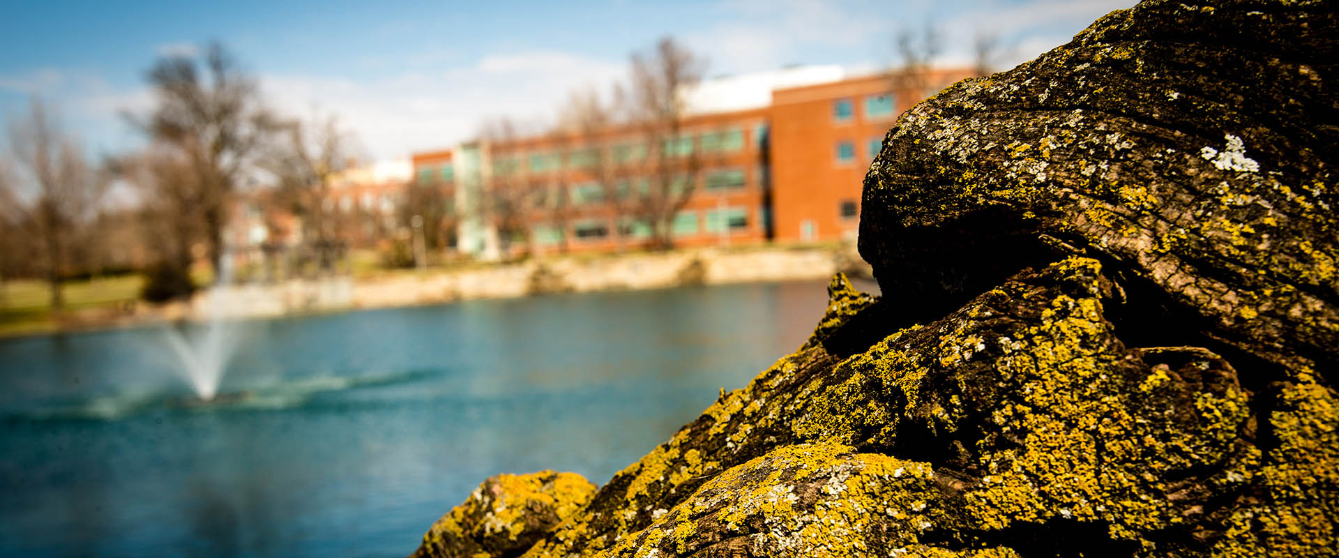 Financial Assistance Northwest Financial Assistance Northwest